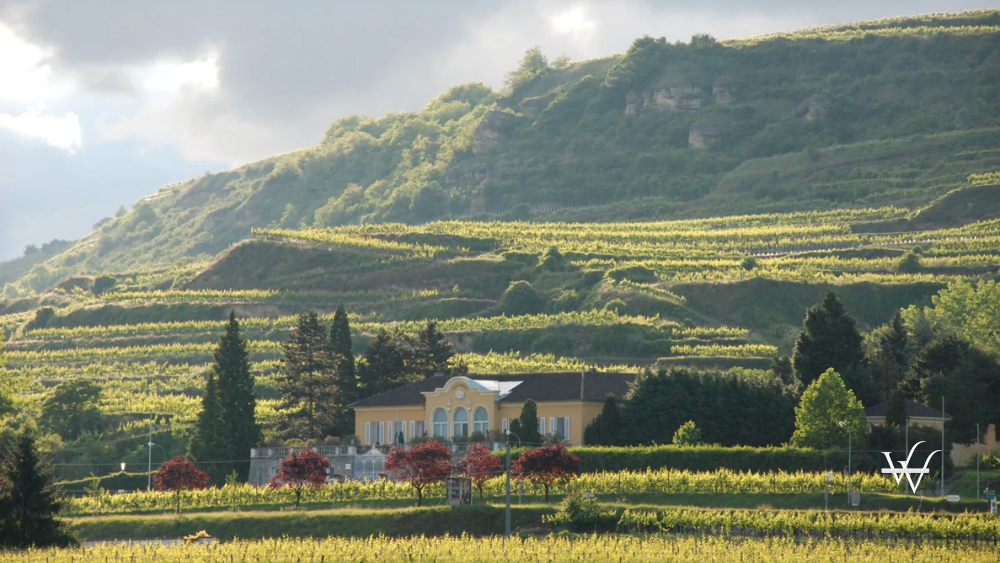 The Moser Family: A Tradition of Bio-dynamic Viticulture and Winemakin ...