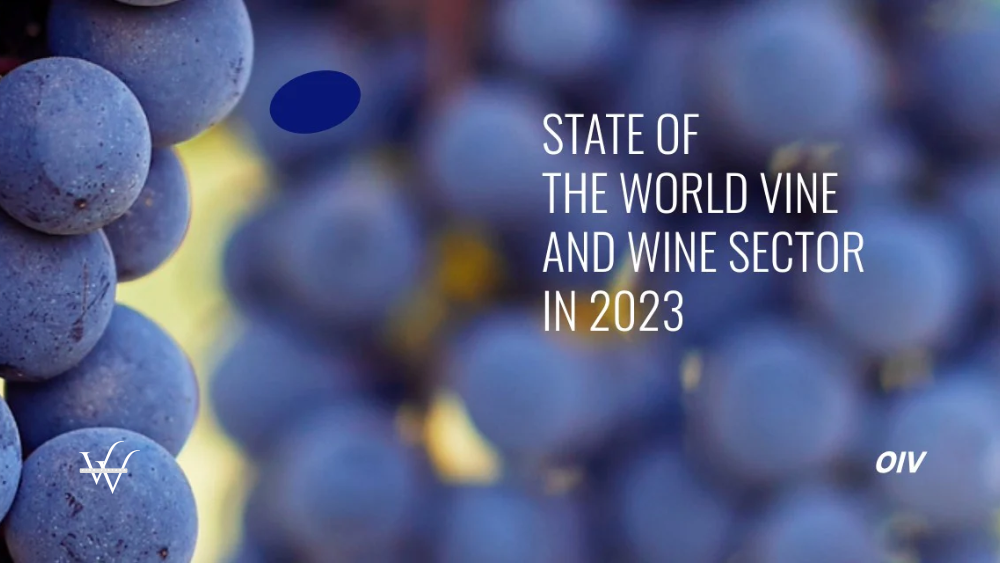 OIV: Overview of Global Wine Industry Trends in 2023 – Wine-Intelligence